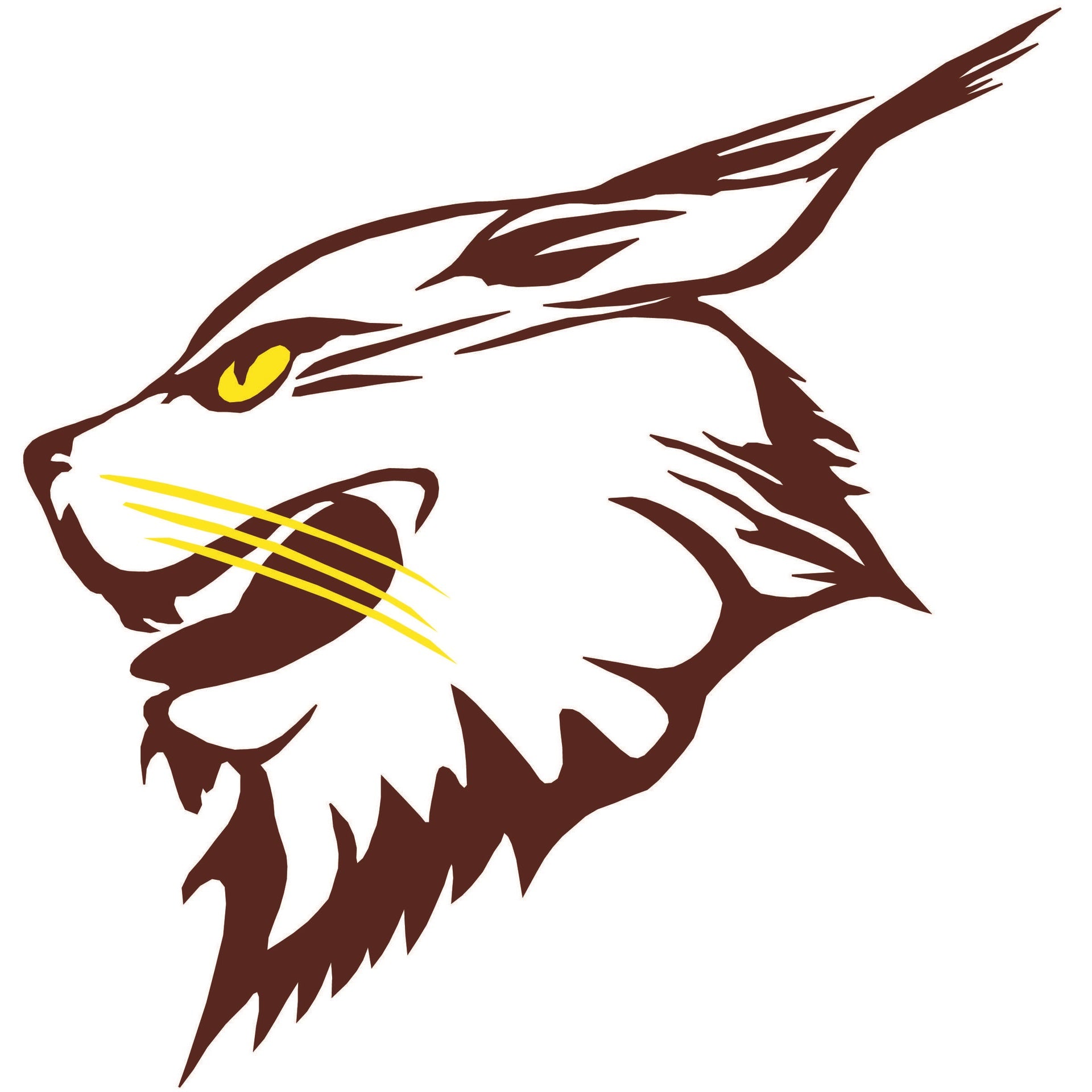 DIMOND HIGH SCHOOL - GIRLS – Tursi Soccer Store