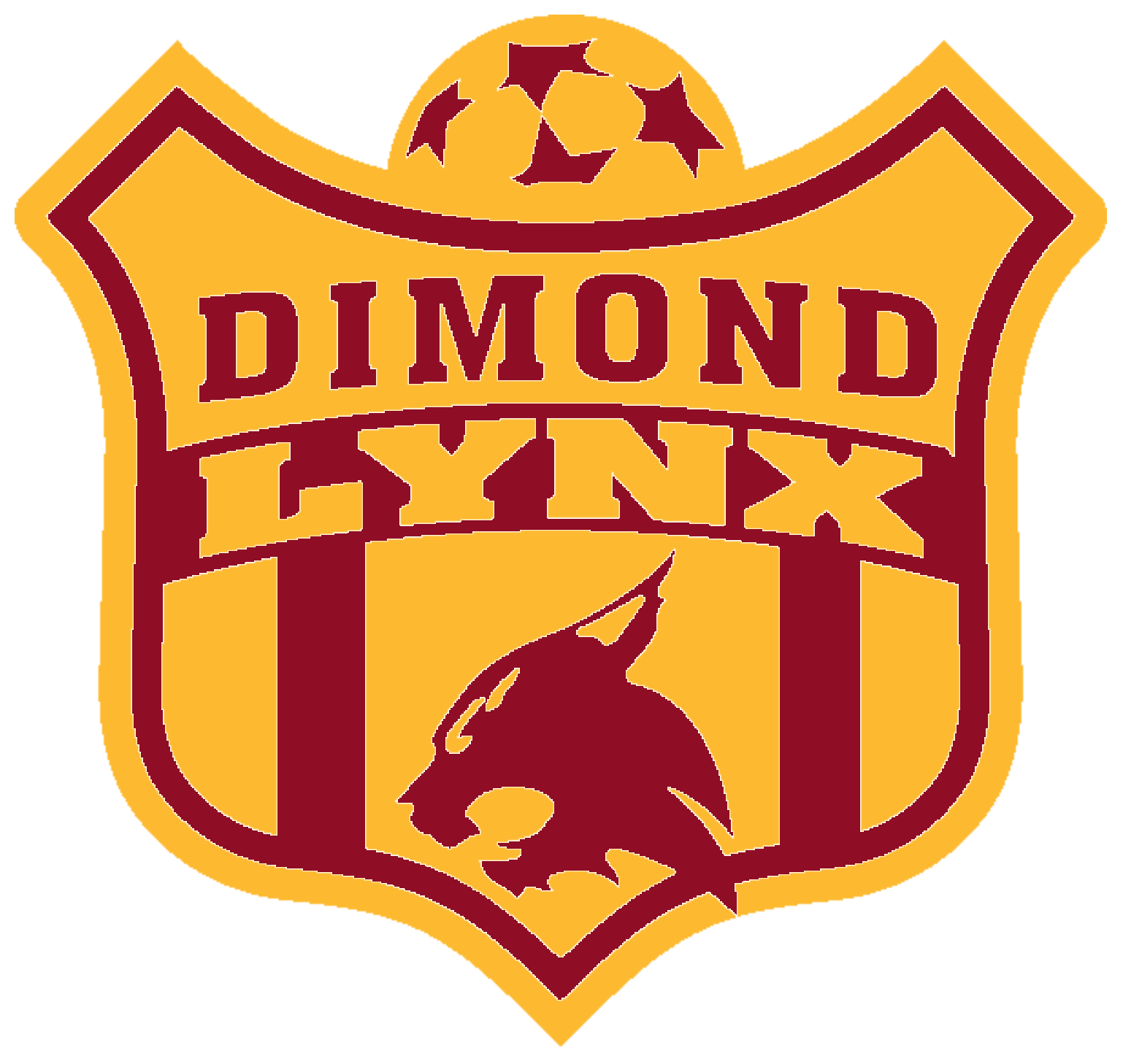 DIMOND HIGH SCHOOL - BOYS – Tursi Soccer Store