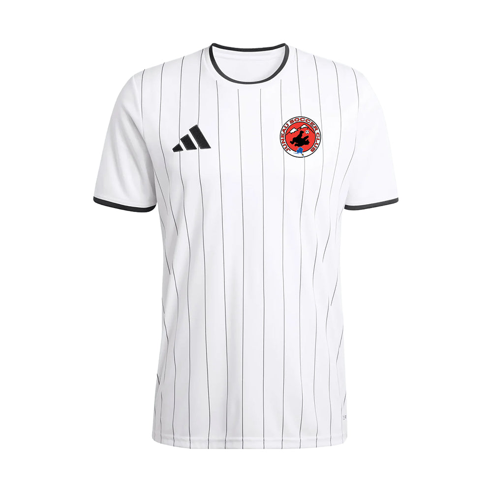 Juneau SC Entrada 26 Graphic Jersey White [Men's] – Tursi Soccer Store